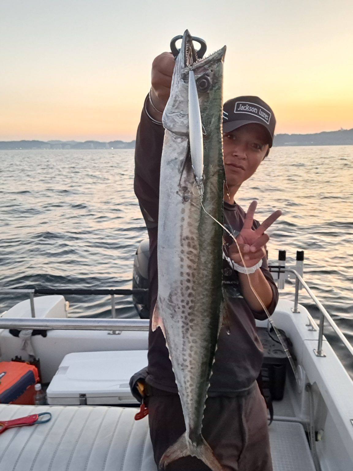 東京湾サワラ | 【東京湾】シーバス・サワラ/ボートガイド船 =アンリミテッド(UNLIMITED)=